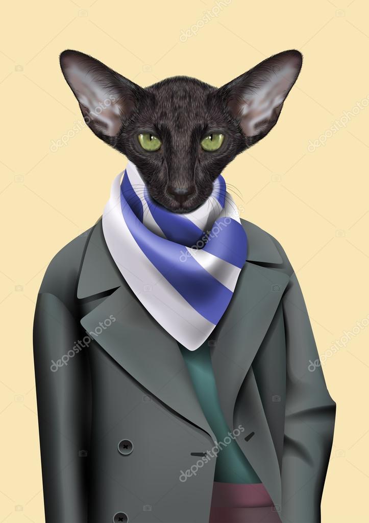 Black Cat boy dressed up in casual city style. Vector Illustration of ...