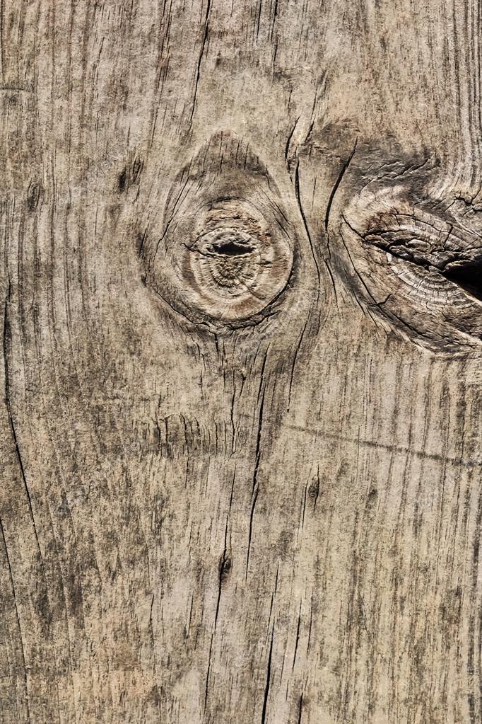 Old Weathered Rotten Cracked Square Timber Bollard Bituminous Grunge ...