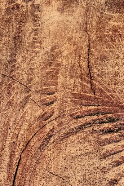 Poplar Wood Cross Section Grunge Texture — Stock Photo © Berka777 #82511486