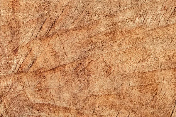 Poplar Wood Cross Section Grunge Texture — Stock Photo © Berka777 #82511276