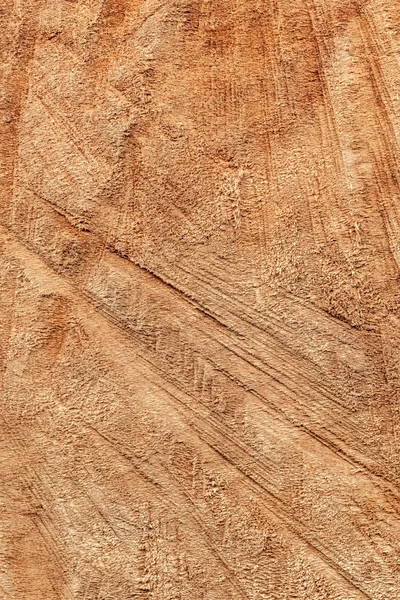 Poplar Wood Cross Section Grunge Texture — Stock Photo © Berka777 #82511276