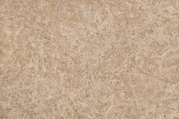 Mottled Off-White Paper — Stock Photo © davidschrader #26476437