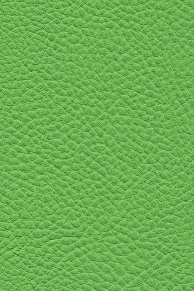 Sample leather Images - Search Images on Everypixel