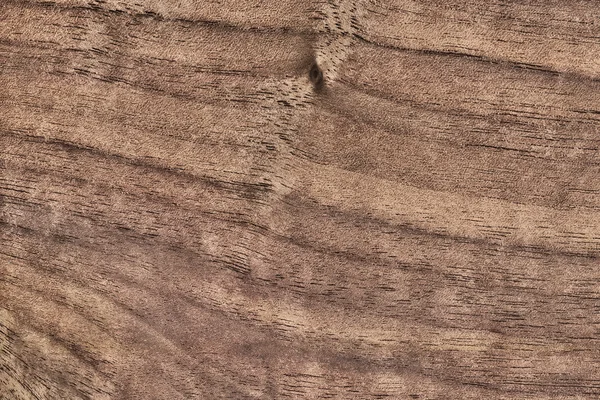 Walnut Wood Veneer Grunge Texture Sample — Stock Photo © Berka777 #82865126