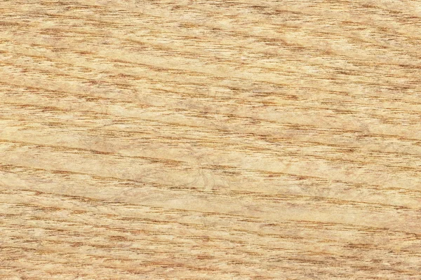 Texture of wood background — Stock Photo © Asiana #2245554