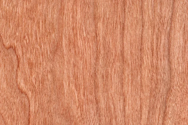 Veneer samples Images - Search Images on Everypixel