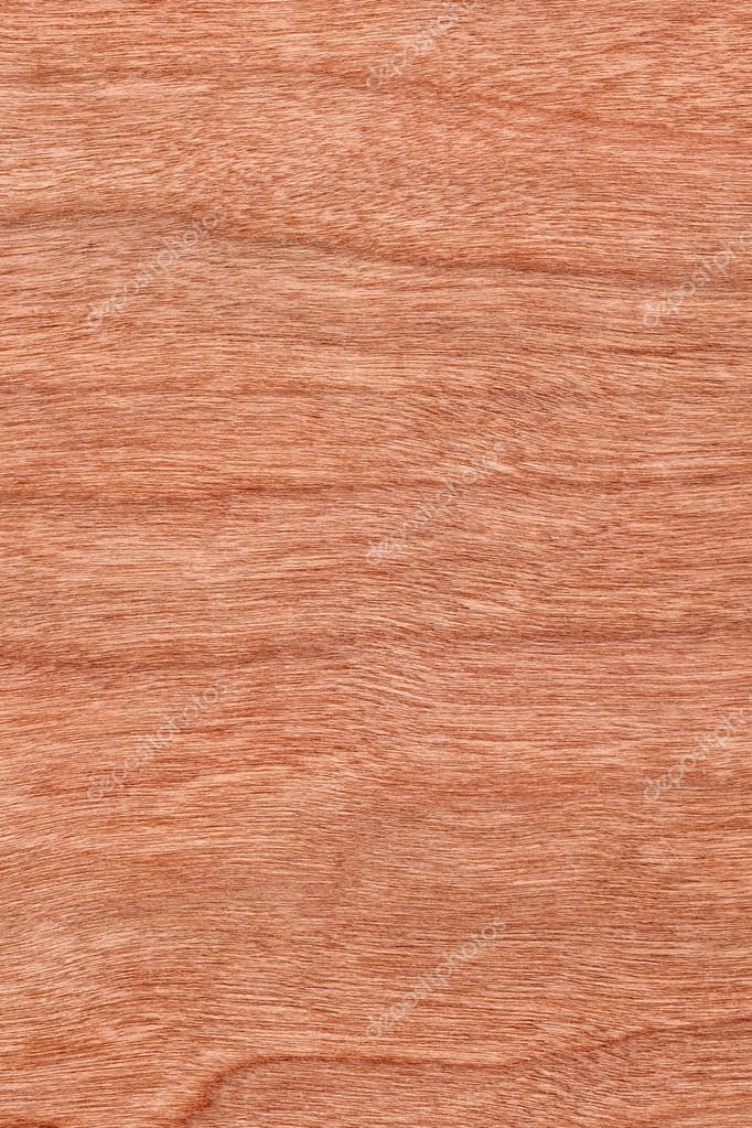 Muestra de textura Grunge de chapa de madera de cerezo 2023