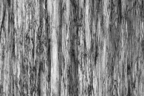 Oak Wood Veneer Bleached Gray Grunge Texture Sample - Stock Image ...