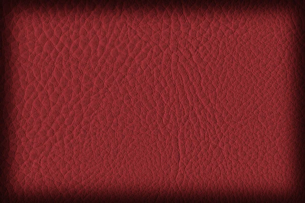 Sample leather Images - Search Images on Everypixel