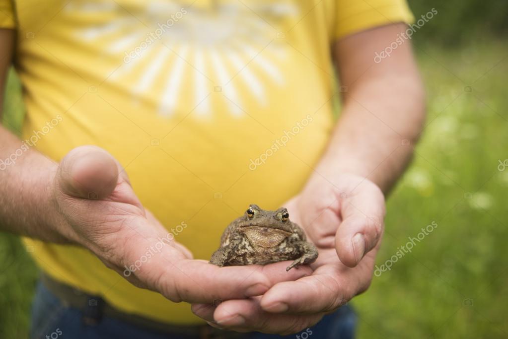 Man Holding Large Bullfrog — Stock Photo © borjomi88 #117217484
