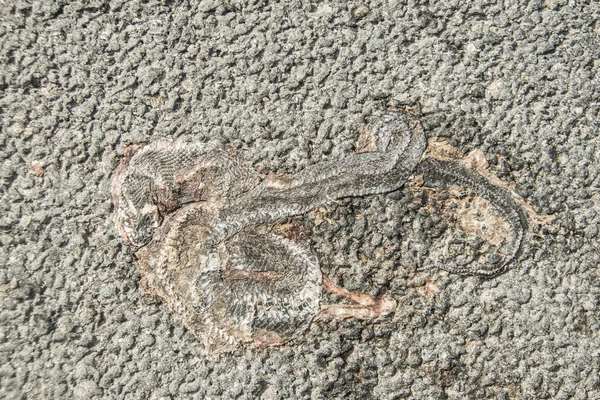 Dead male Stock Photos, Royalty Free Dead male Images | Depositphotos