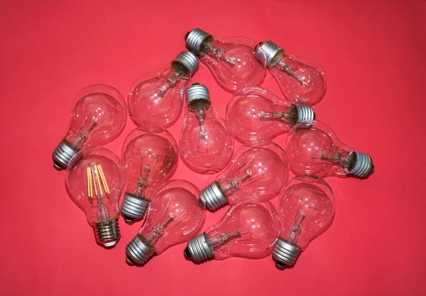many New incandescent lamp bulbs on red paper background, top view ...