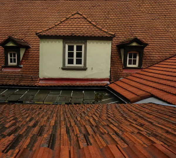 Roof rake Stock Photos, Royalty Free Roof rake Images | Depositphotos