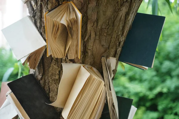 Open book tree Stock Photos, Royalty Free Open book tree Images ...