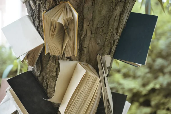 Open book tree Stock Photos, Royalty Free Open book tree Images ...