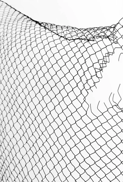 Damage Wire Mesh White Background Mesh Netting Hole Isolated White ...