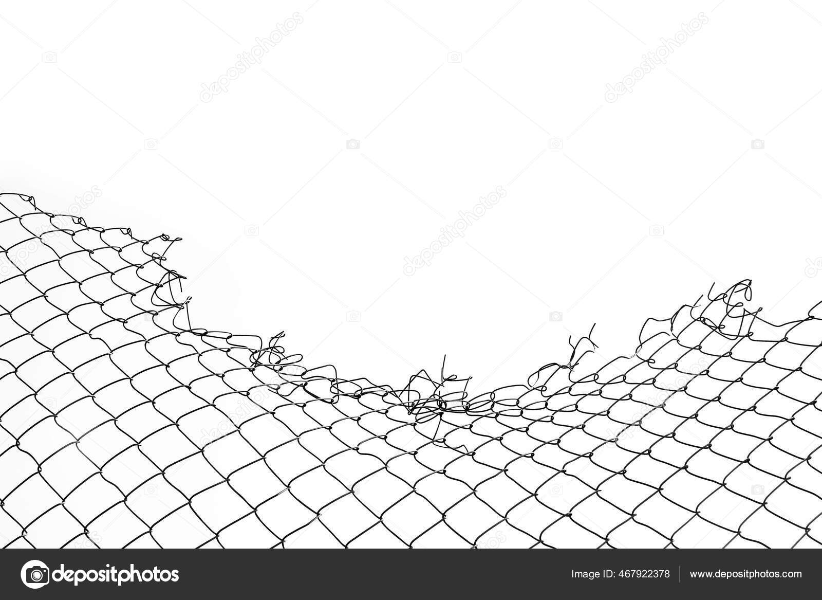 Damage Wire Mesh White Background Mesh Netting Hole Isolated White ...