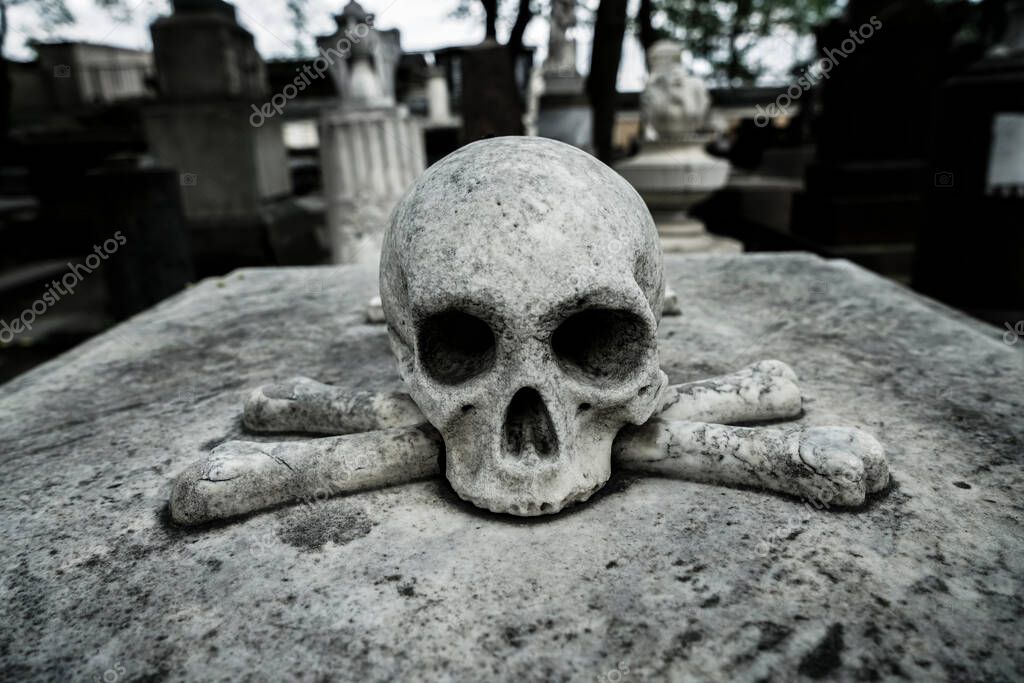 cr neo humano y huesos yacen en la tumba medieval 2024