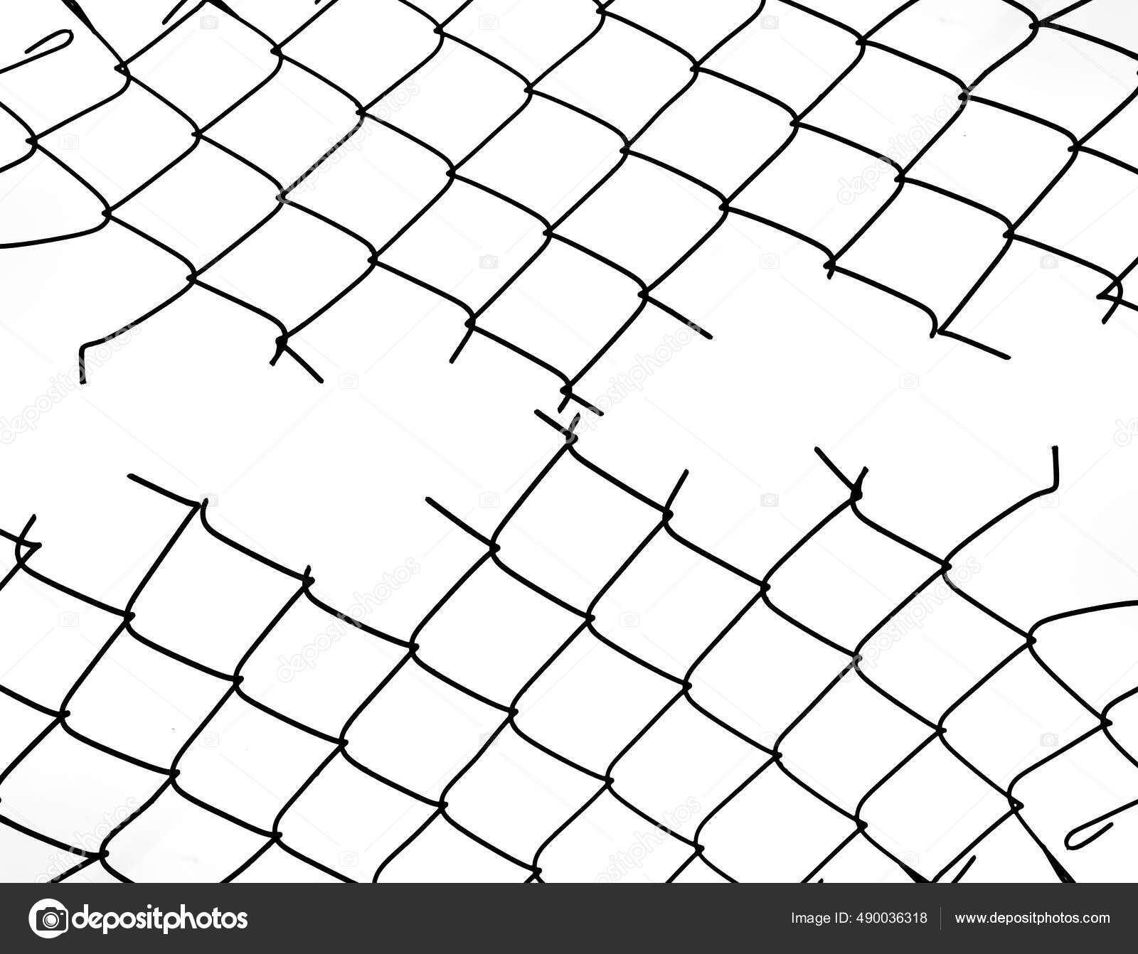 Damage Wire Mesh White Background Mesh Netting Hole Isolated White ...