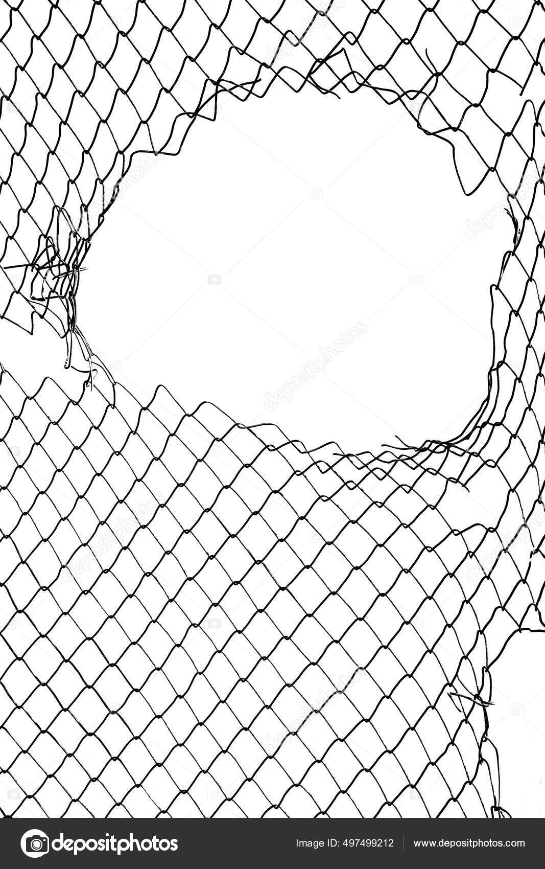 Damage Wire Mesh White Background Mesh Netting Hole Isolated White ...