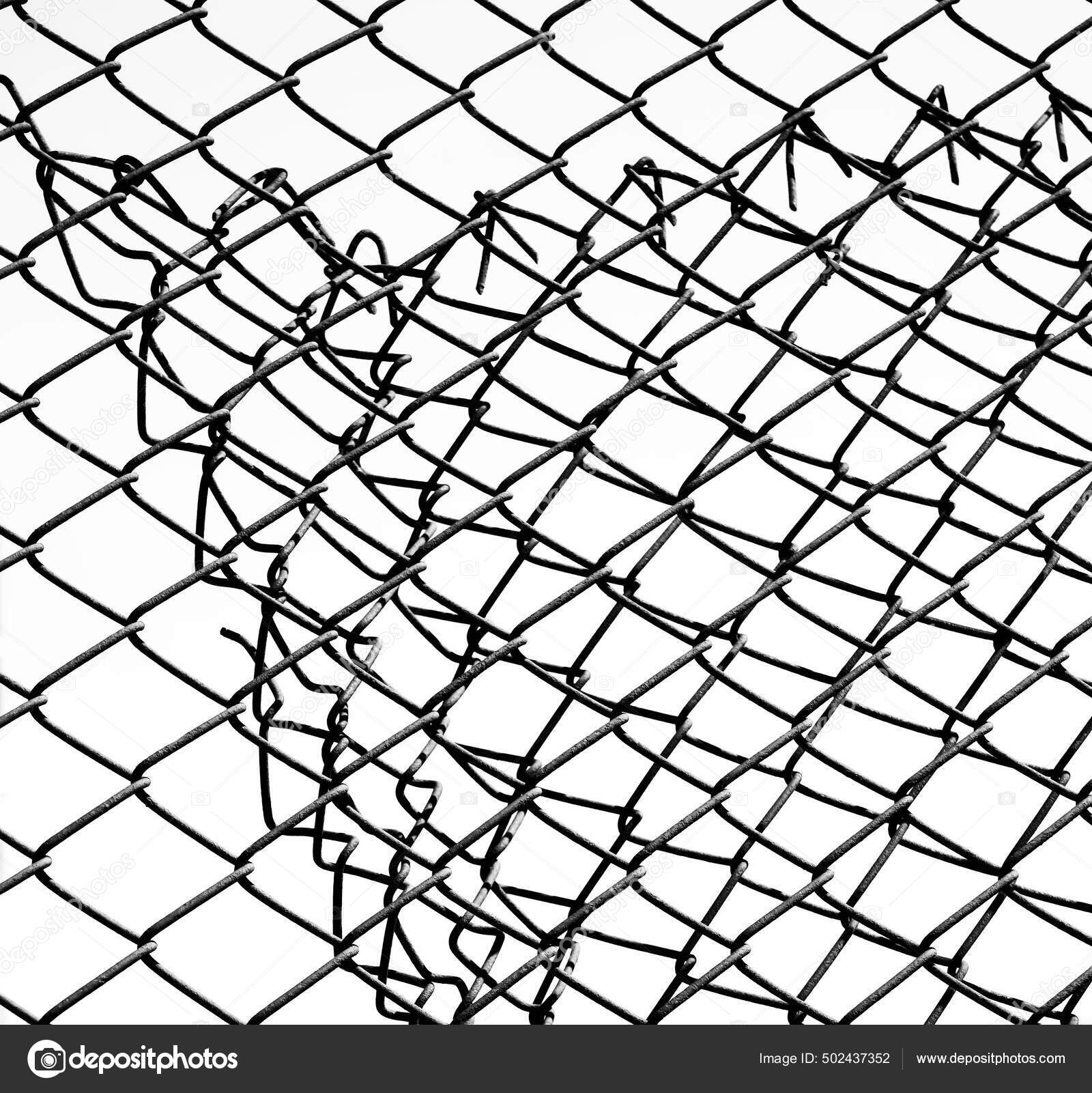 Decorative Wire Mesh Fence Isolated White Background — Stock Photo ...