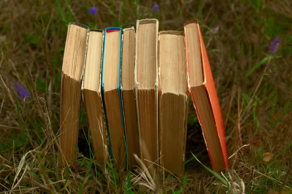 Stacked books in grass Stock Photos, Royalty Free Stacked books in ...
