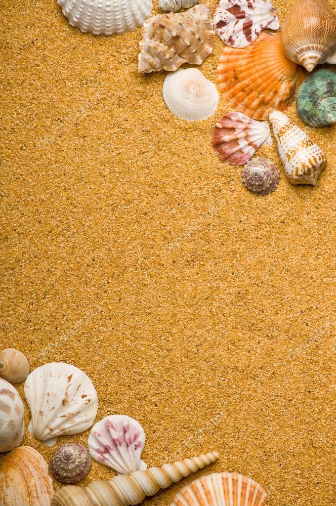 Seashells background — Stock Photo © space-heater #82624458