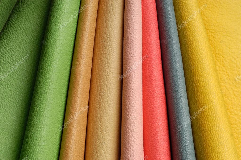 Muestra de pieles coloridas — Foto de stock #82718922 © MariaiC