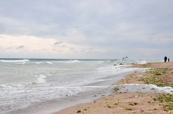 The caspian sea Stock Photos, Royalty Free The caspian sea Images ...