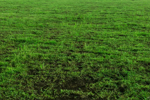 Field conditions Stock Photos, Royalty Free Field conditions Images ...