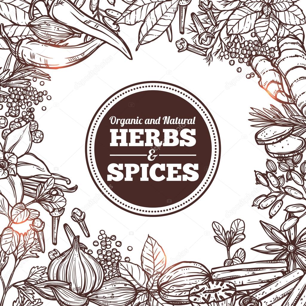 Natural Sketch Herbs And Spices — Stock Vector © alexrockheart #96368902