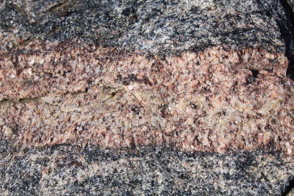 Granitic Gneiss