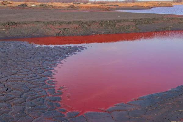 Blood Red Water In Texas