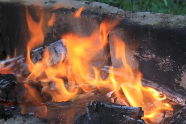 A camp fire - Stock Image - Everypixel