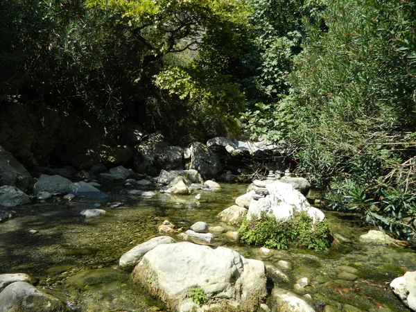 Jordan river Stock Photos, Royalty Free Jordan river Images | Depositphotos