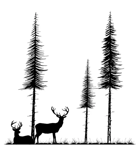 How to draw a pine tree forest | Forest design pine tree deer drawing ...