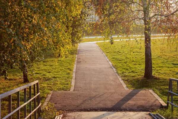 Sunny pathway Stock Photos, Royalty Free Sunny pathway Images ...