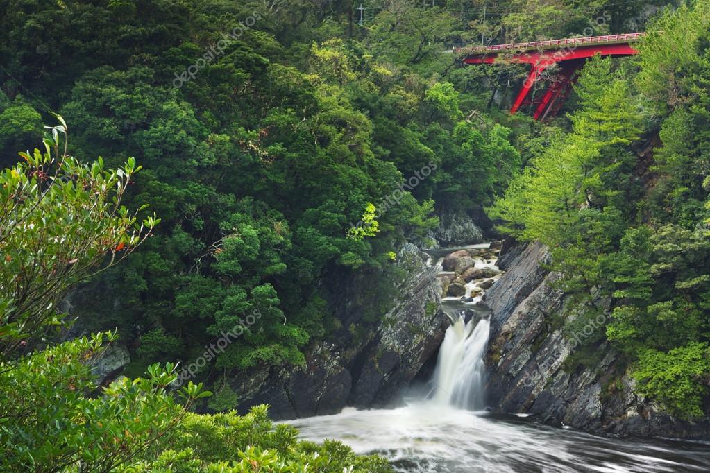 The Toroki Falls on Yakushima Island, Japan Stock Photo by ©sara_winter ...