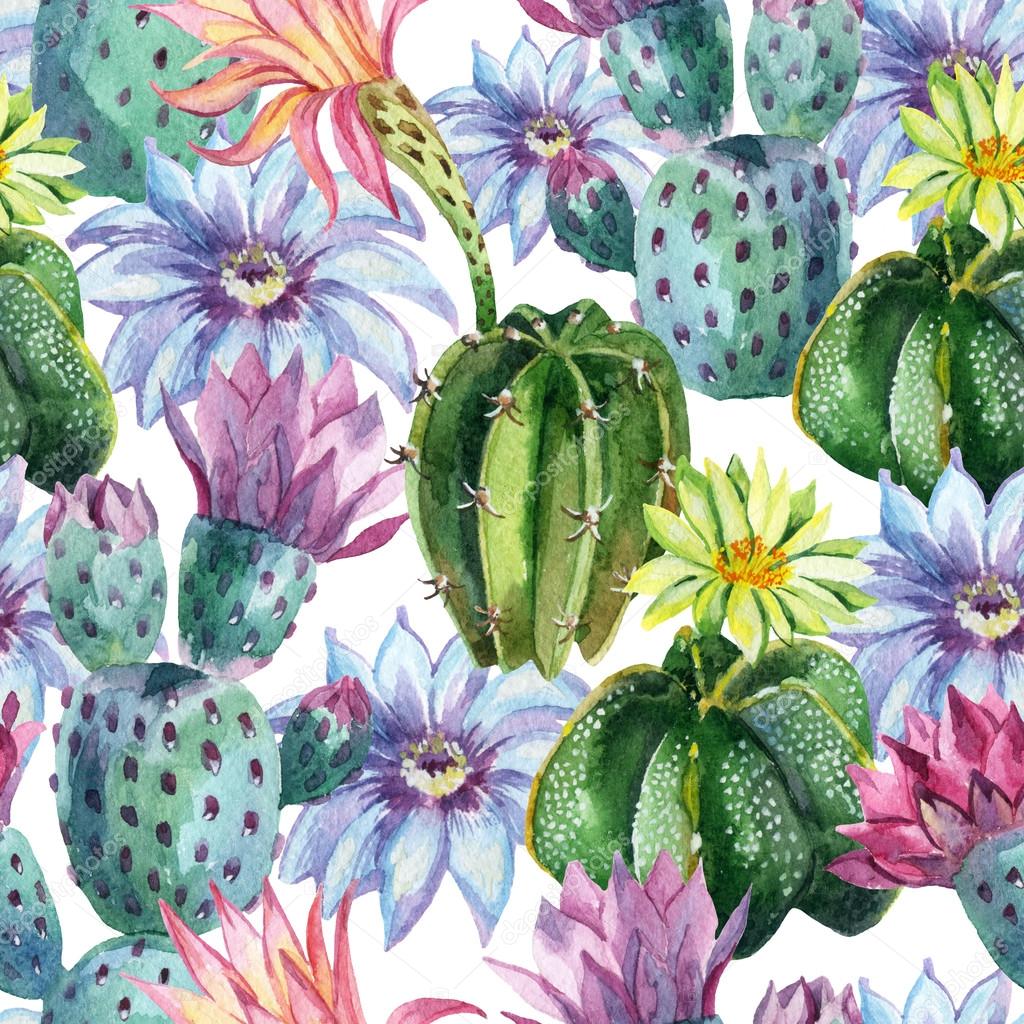 Watercolor seamless cactus pattern — Stock Photo © Tetiana_Syrytsyna ...