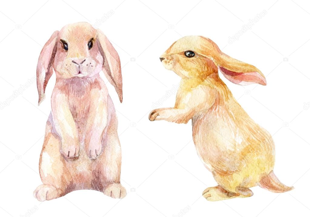 Watercolor rabbit illustration Stock Photo by ©Tetiana_Syrytsyna 92707786