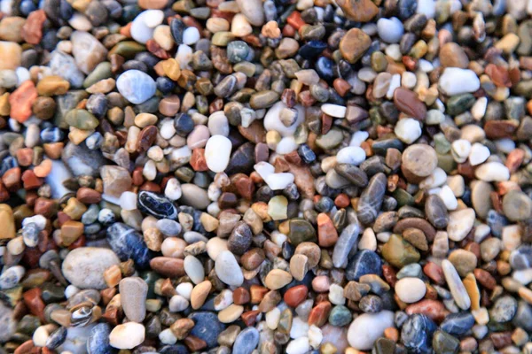 Galets de fleurs images libres de droit, photos de Galets de fleurs ...