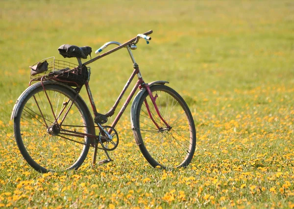 Spring bike Stock Photos, Royalty Free Spring bike Images | Depositphotos