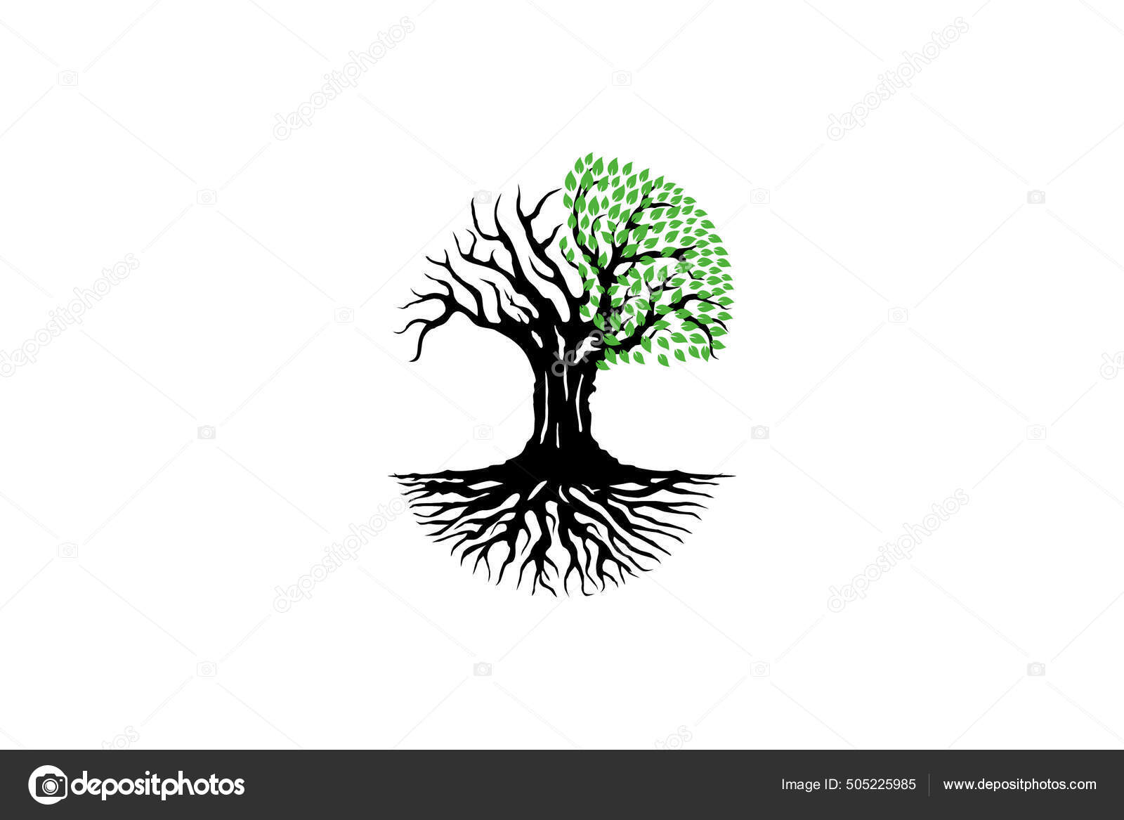 Vector Gráfico Creativo Raíz Verde Plantilla Diseño Logotipo Fondo ...