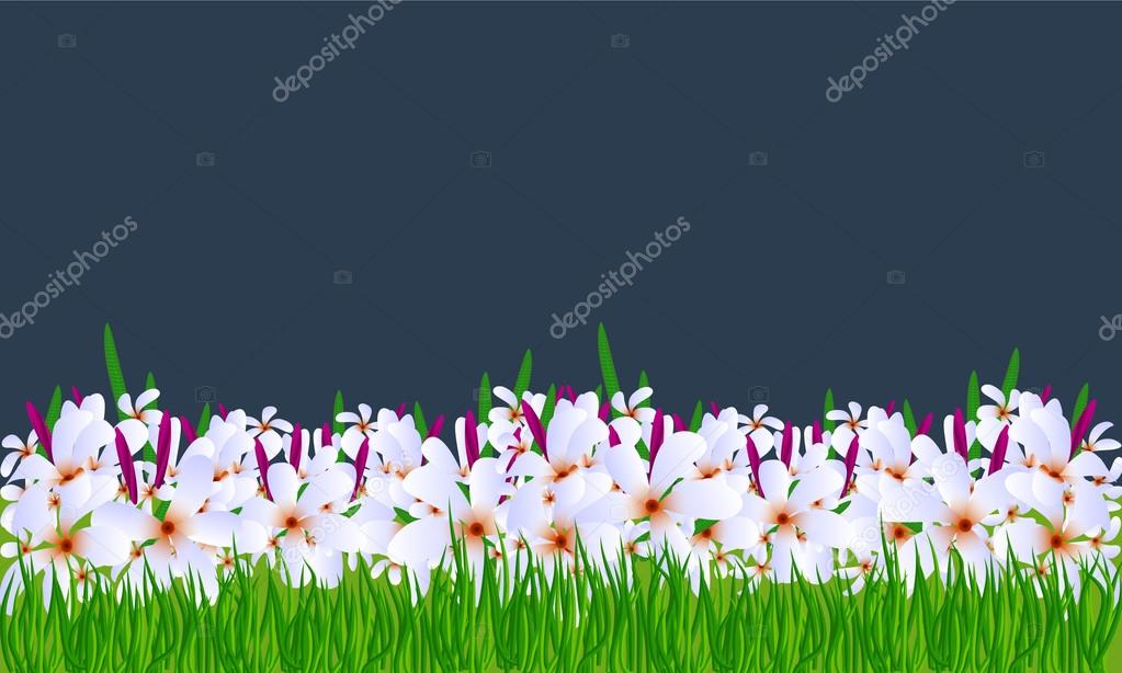 Flowers vector background with green grass Stock Vector Image by ...