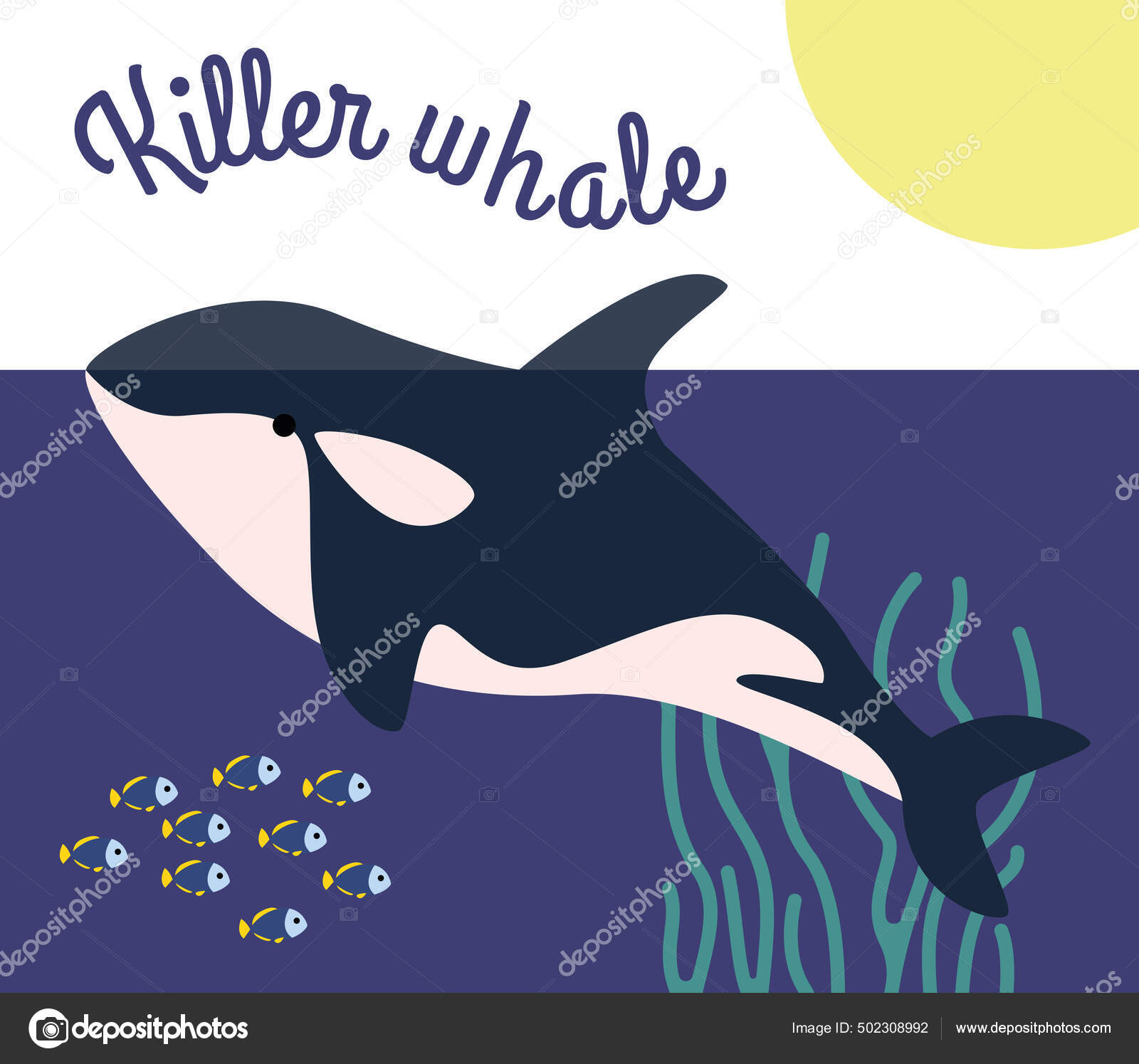 Blue Predatory Killer Whale Swims Sea Underwater World Sea Creatures ...