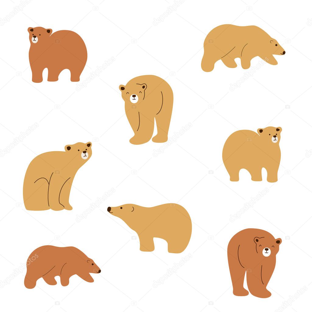 Vector conjunto de osos dibujados lindos. Osos en diferentes poses. Oso ...