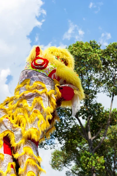 Chinese playing lion dance — Stock Photo © donkeyru #2537469