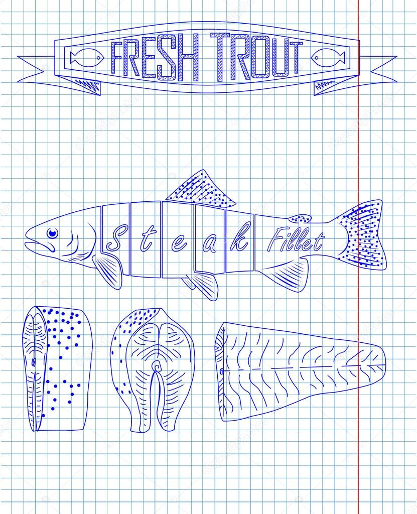 Cutting scheme fresh trout Stock Vector Image by ©bugege #100709406