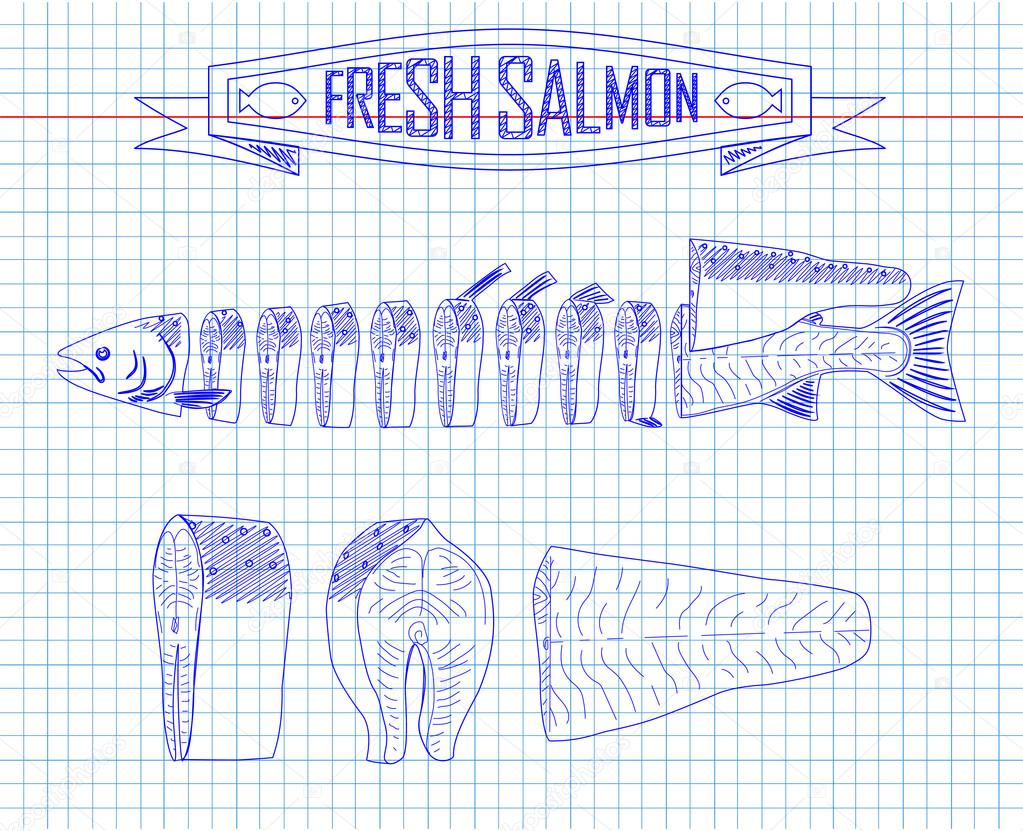 Cutting scheme fresh salmon Stock Vector Image by ©bugege #102354712