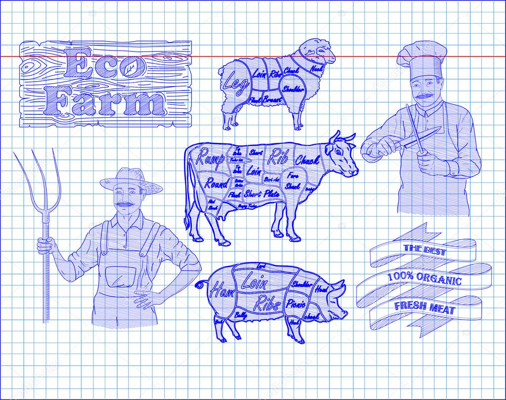 Butchering beef diagram, pork, lamb and farmer, cook Stock Vector Image ...
